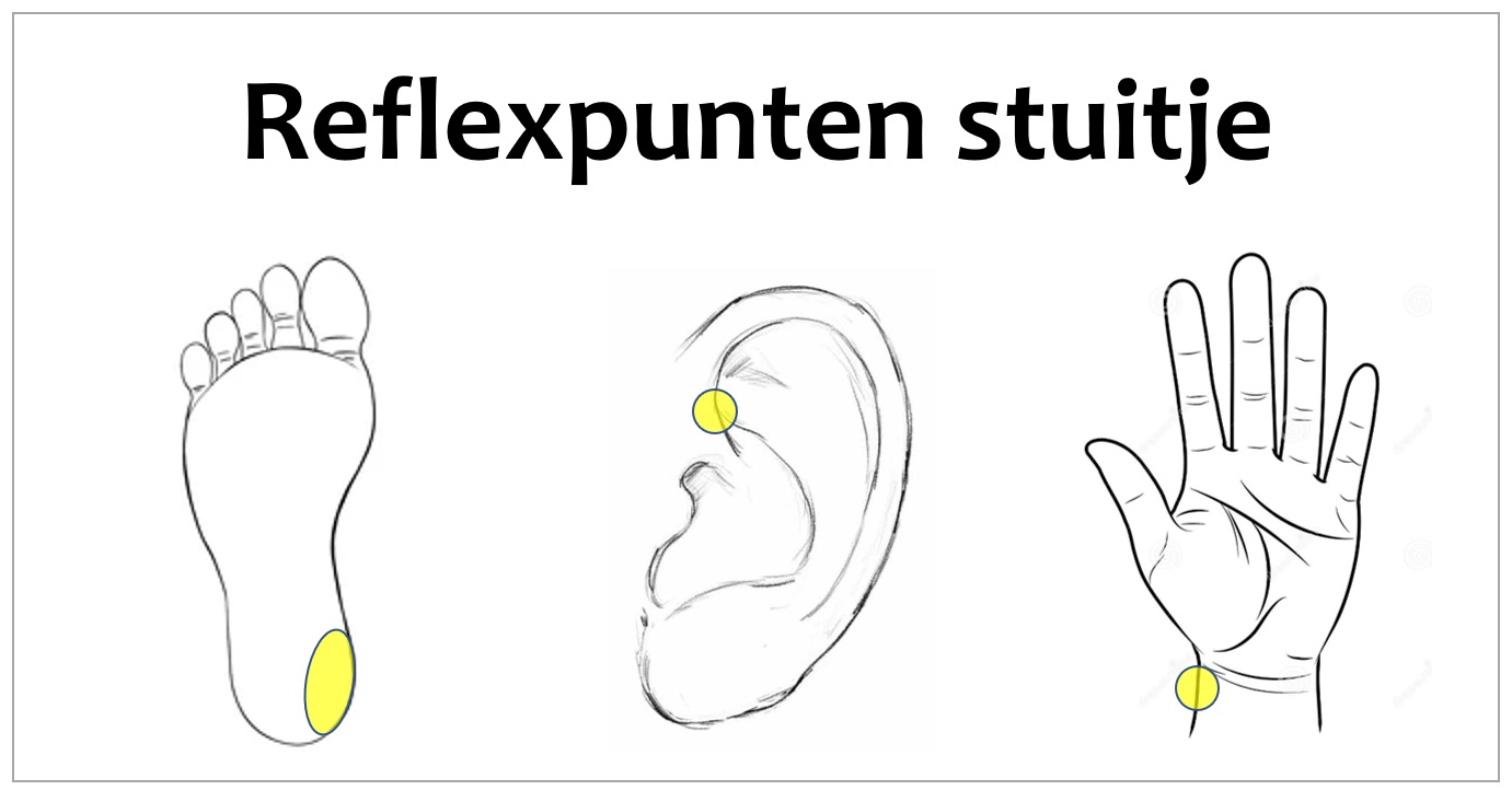 Behandeling van stuitklachten – Roel Wilbers